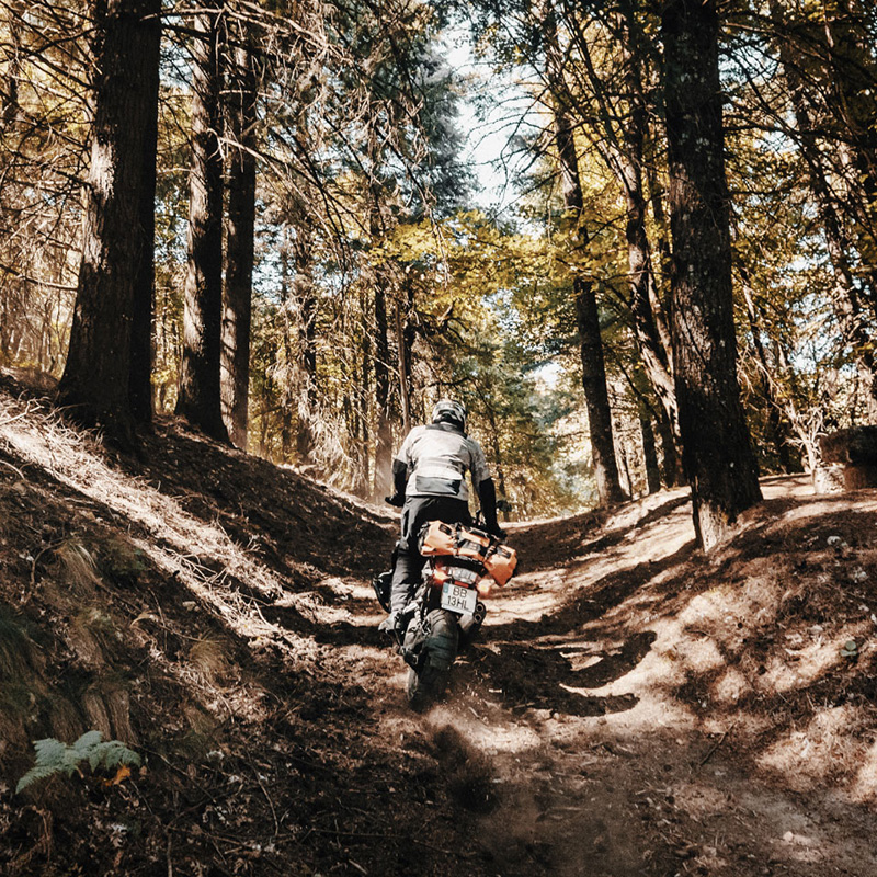 NEXX Bukósisak X.WED3 Carbon Keyo White-Orange MT - NEXX BUKÓSISAK - X ...